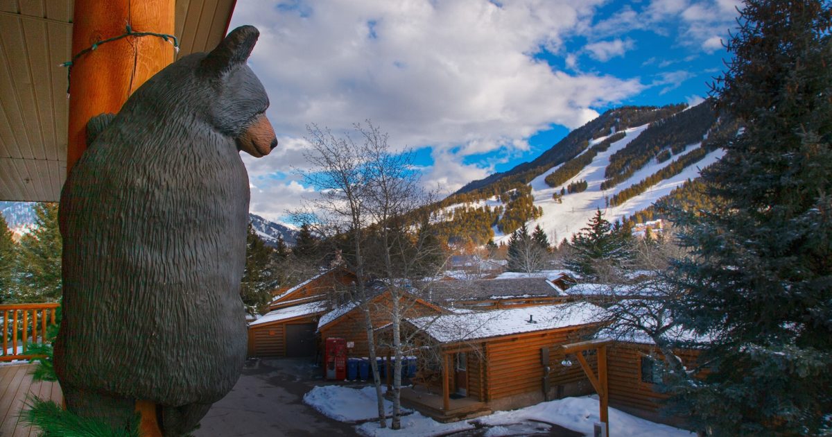 Explore Jackson Hole | Town Square Inns