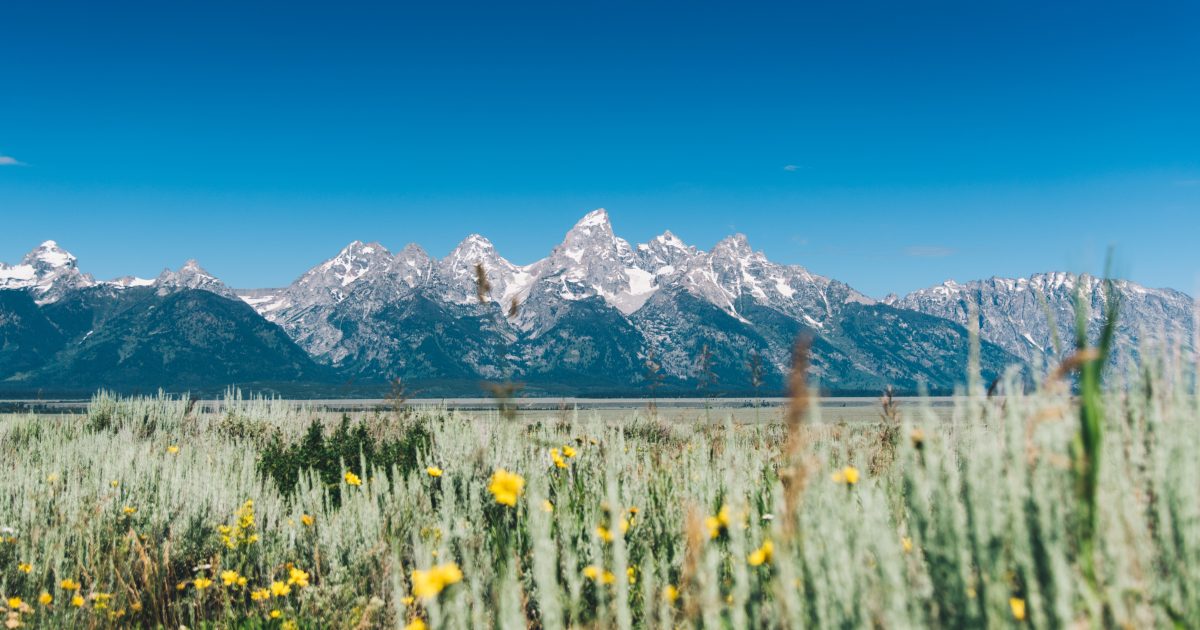 Top 12 Things to Do in Jackson Hole this Spring | Town Square Inns